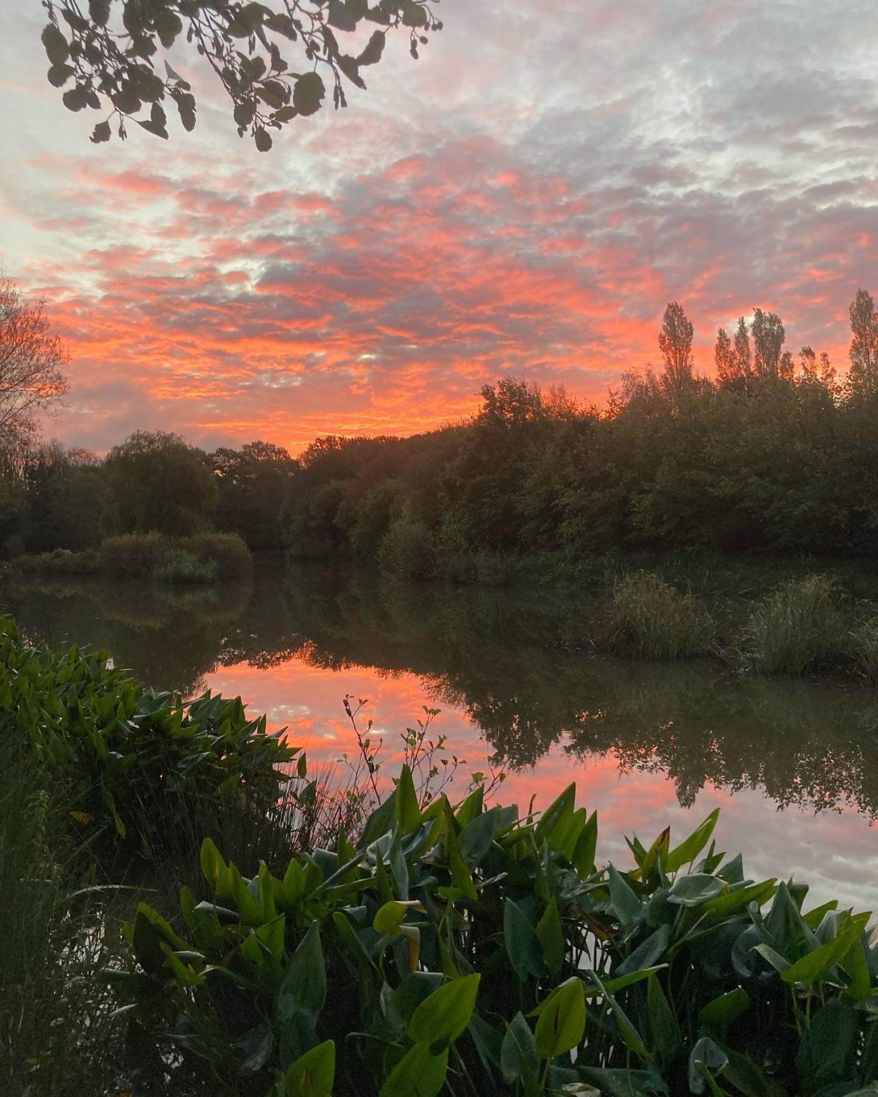 Framfield Park Fishery – Brookhouse Lane, Uckfield, United Kingdom