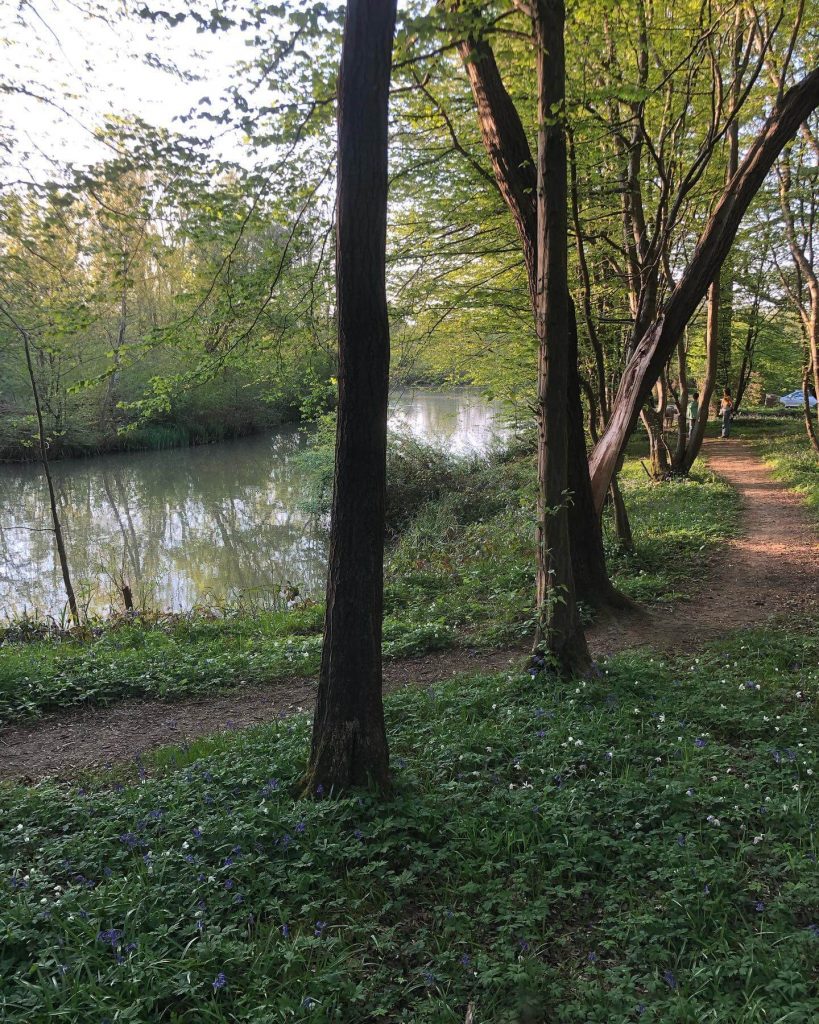 Gallery – Framfield Park Fishery