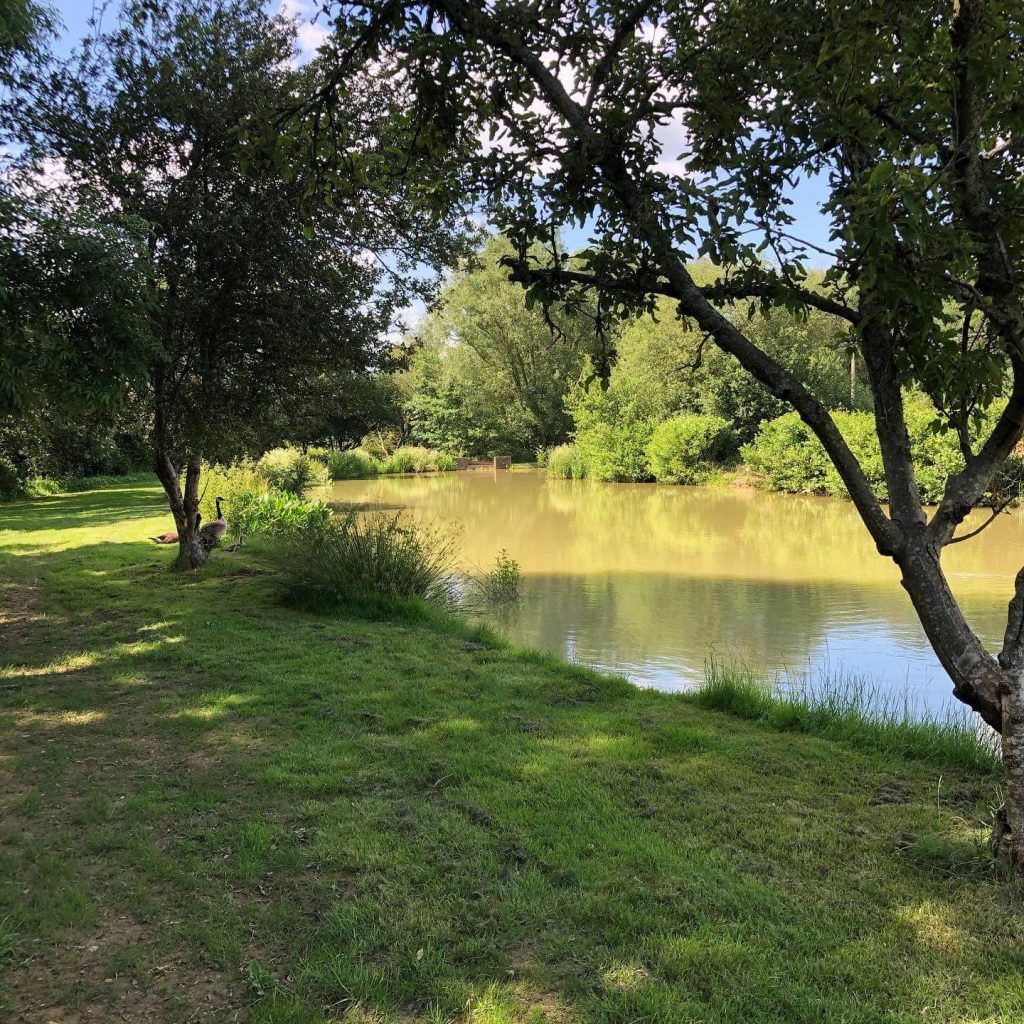 Gallery – Framfield Park Fishery